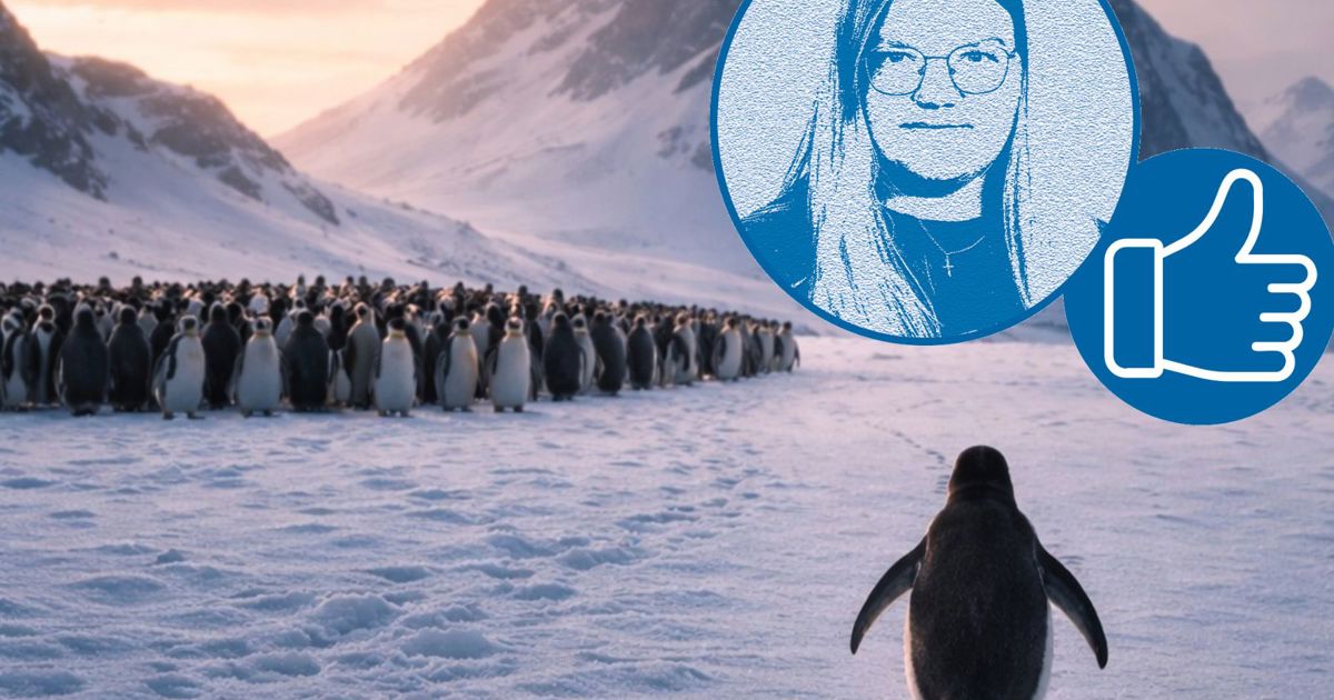 Sei der Pinguin! | Kirchenbote TG